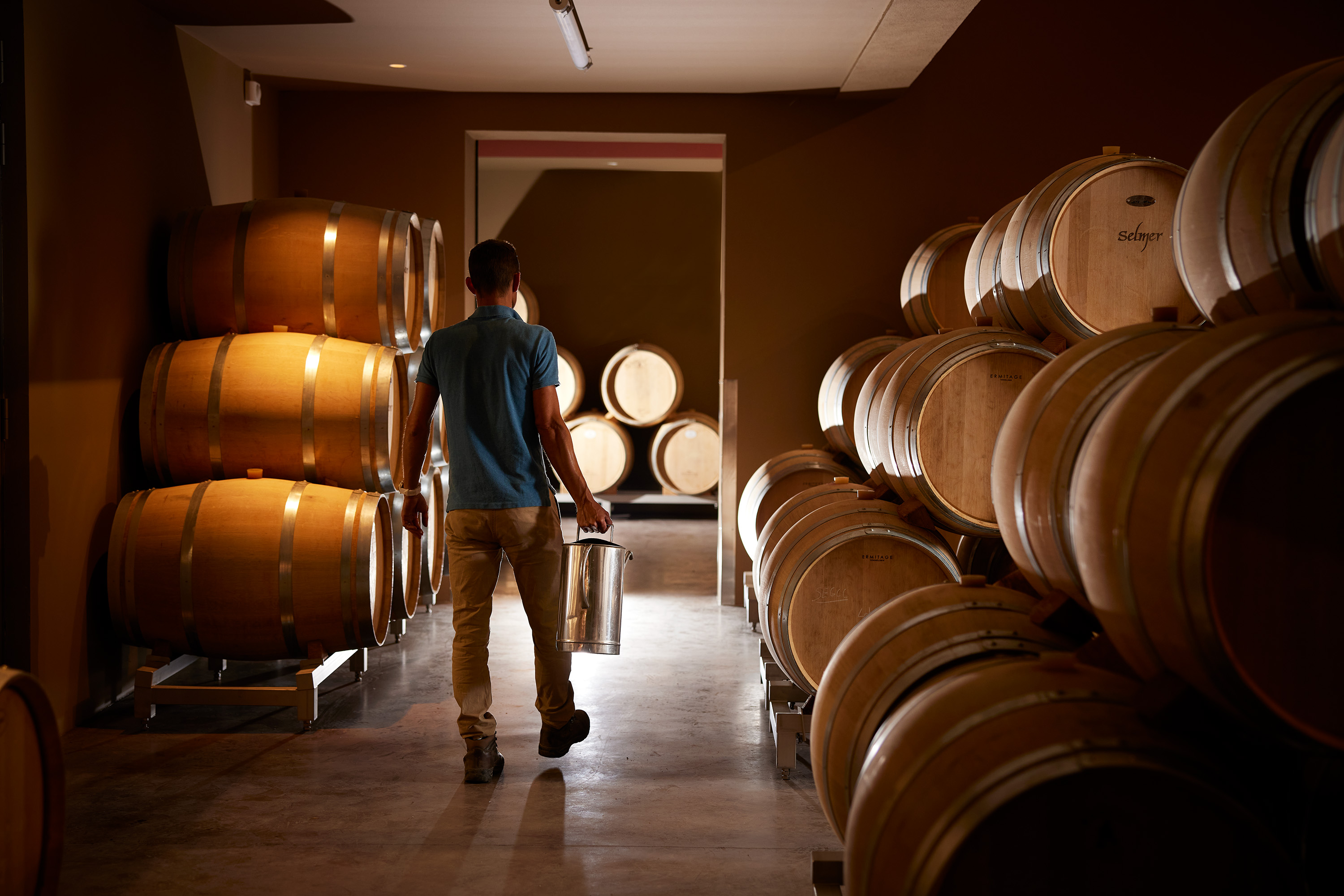 Les expériences vin & vignoble